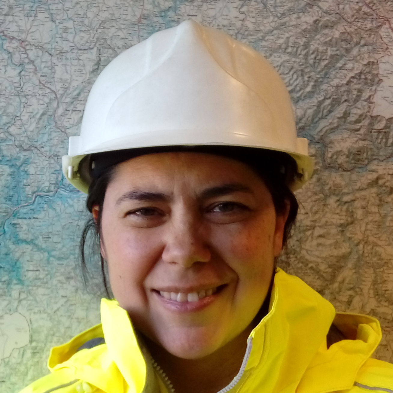 Luisa Álvarez Zaragoza - insiprasteam